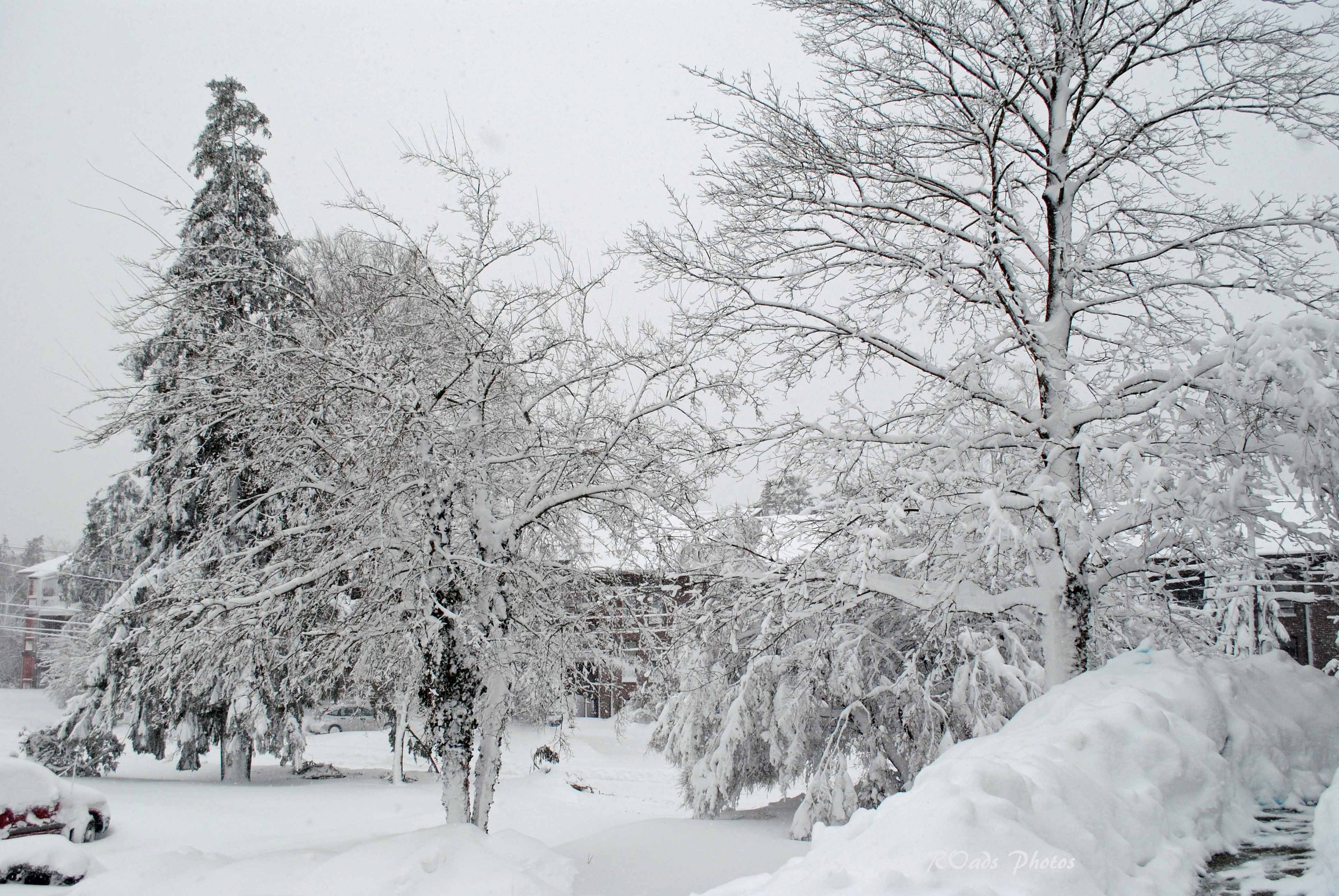 Storm Stories – arounddustyroads