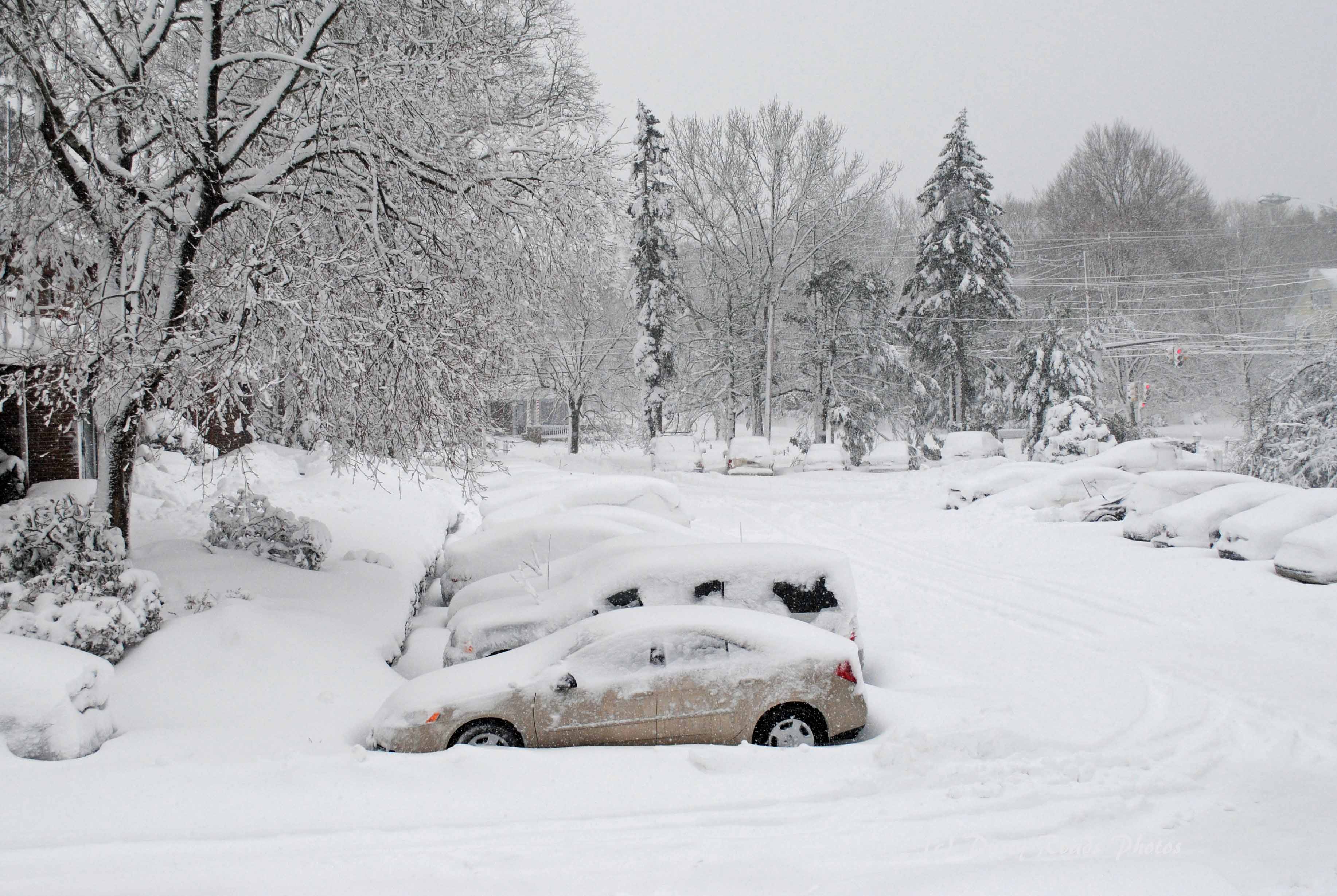 blizzardmorning 004 copy – arounddustyroads