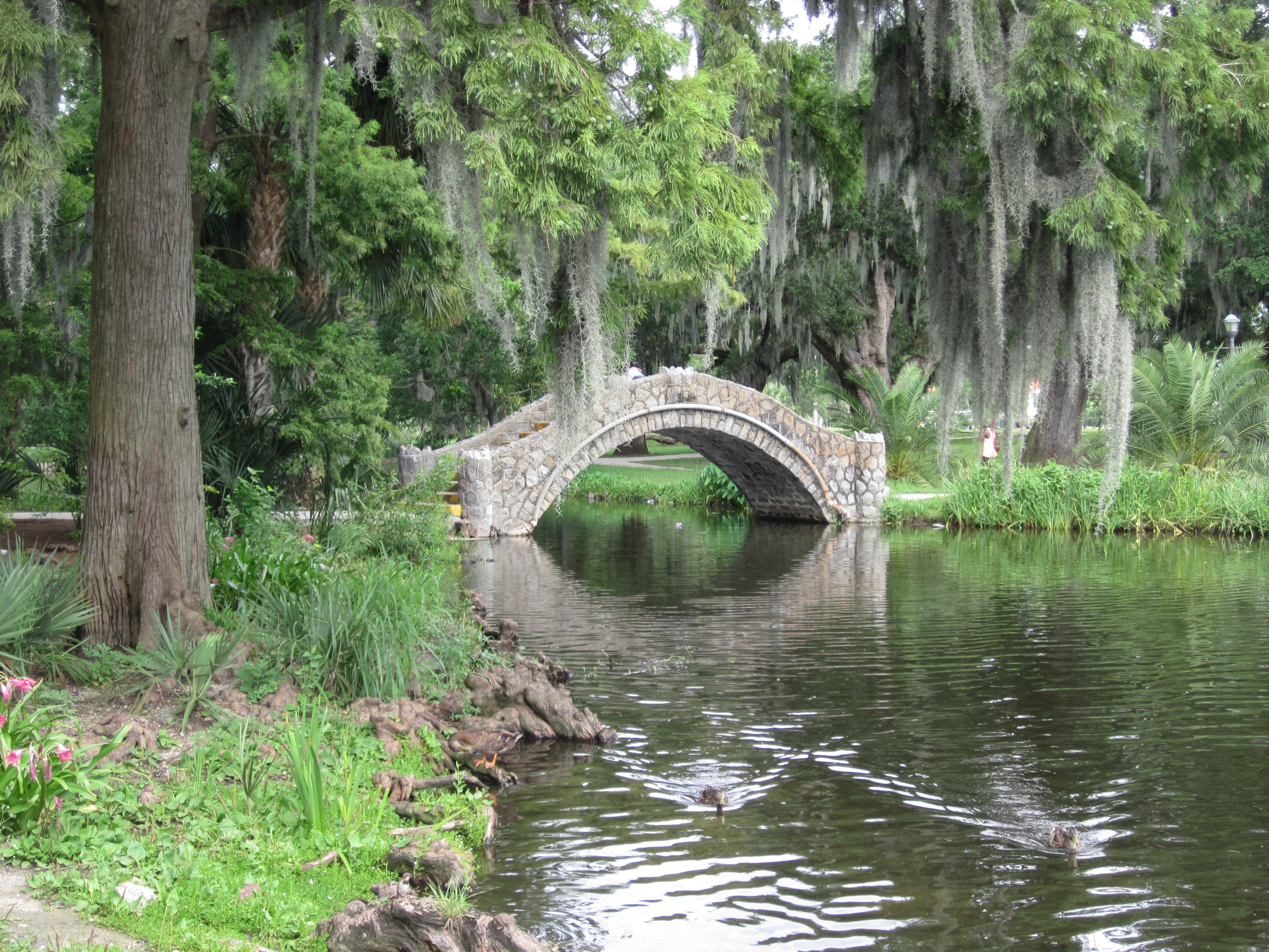 Bayou Bridge – arounddustyroads