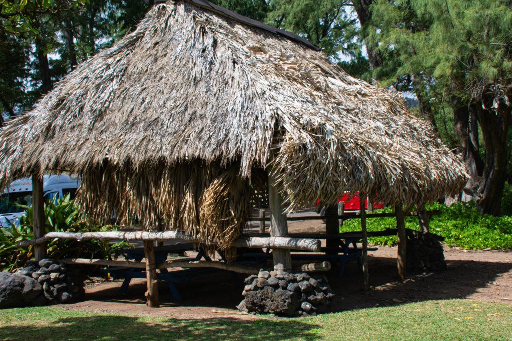 Grass hut – arounddustyroads
